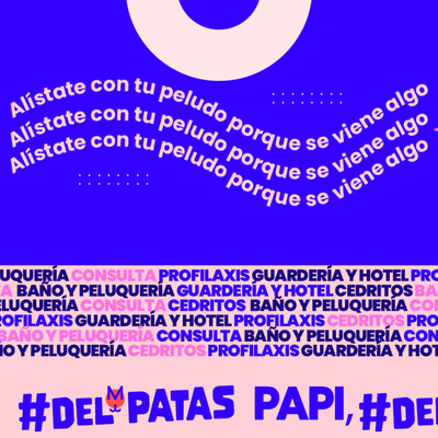 ¿Qué hay tras la identidad Movet?: entrevista con Camila Rondón ...