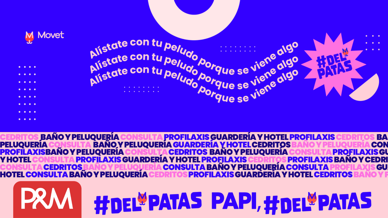 ¿Qué hay tras la identidad Movet?: entrevista con Camila Rondón ...