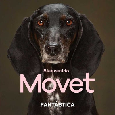 La revolucionaria startup Movet elige a Fantástica como su agencia de ...
