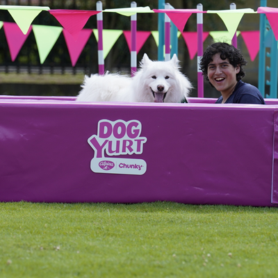 Bon Yurt de Alpina y Chunky presentan Dog Yurt - Consumidor | Revista P&M