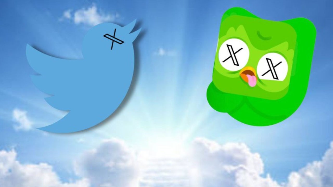 X se une al duelo global por Duolingo: Una estrategia digital que ...